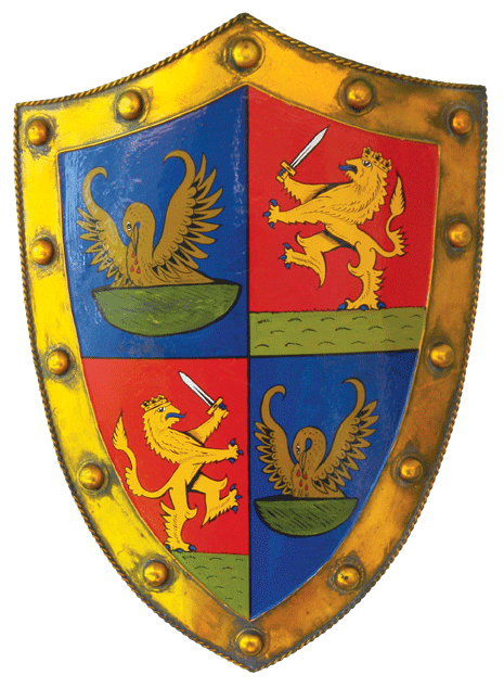 Irish Coat of Arms Warrior Shield - Gold at IrishShop.com ...